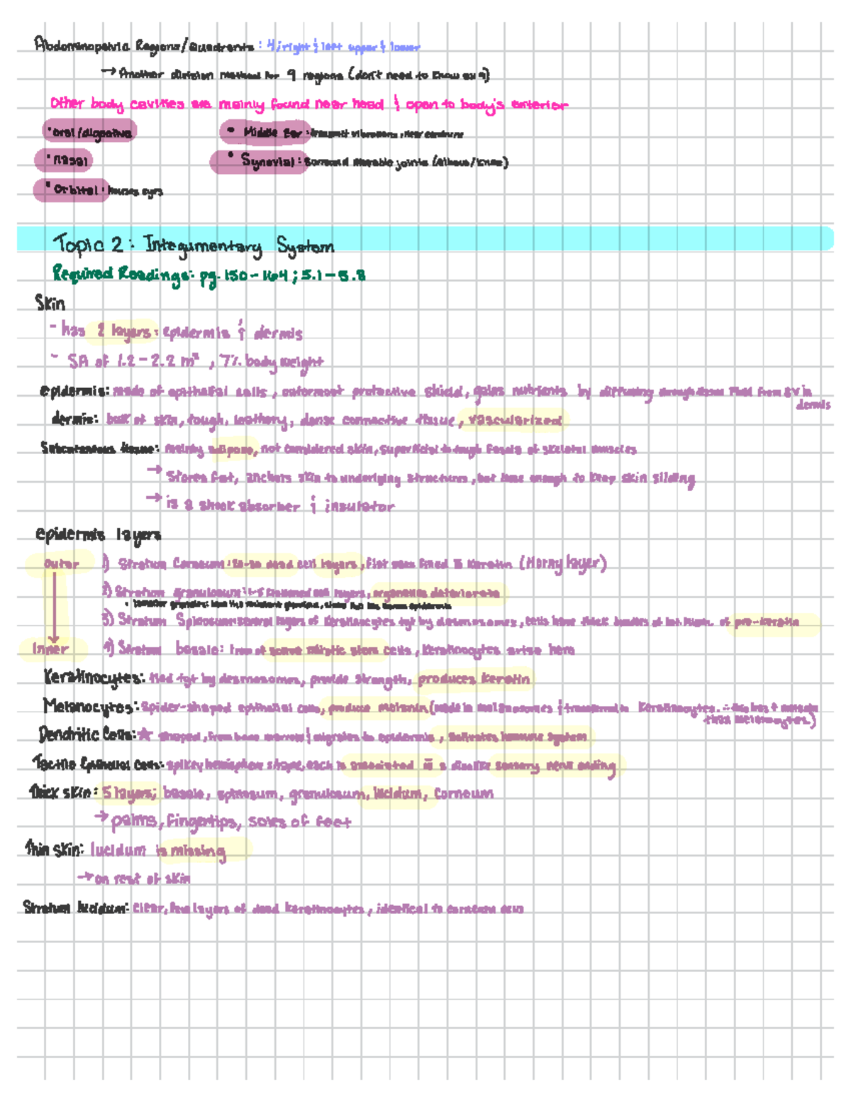 Textbook notes 2 - Abdominopelvic Regions/Quadrants : 4 ; right let ...