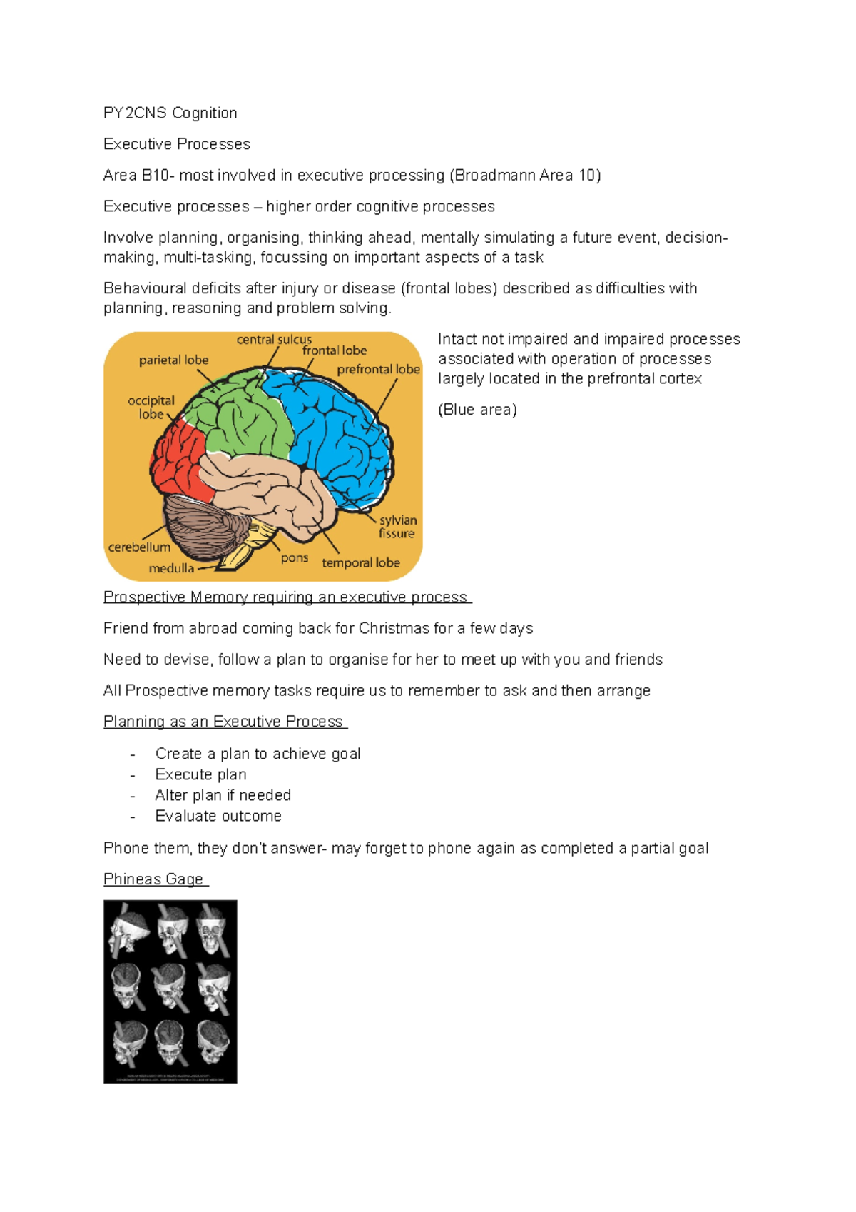 Lecture 5 Executive Memory - PY2CNS Cognition Executive Processes Area B10- most involved in ...