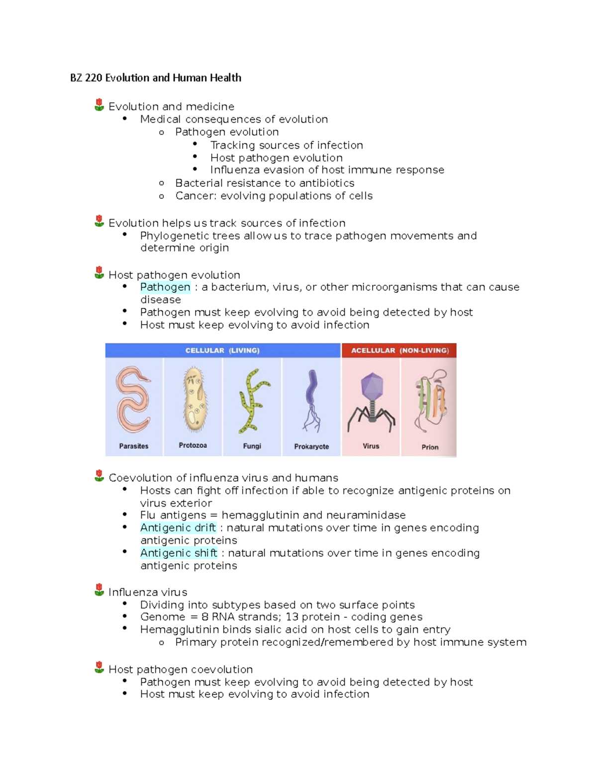 BZ 220 Evolution and Human Health - BZ 220 Evolution and Human Health ...