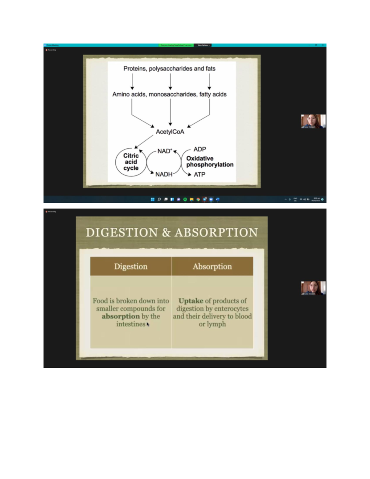 Prelim Digestion - Eswww - Pathophysiology & Pharmacology - Studocu
