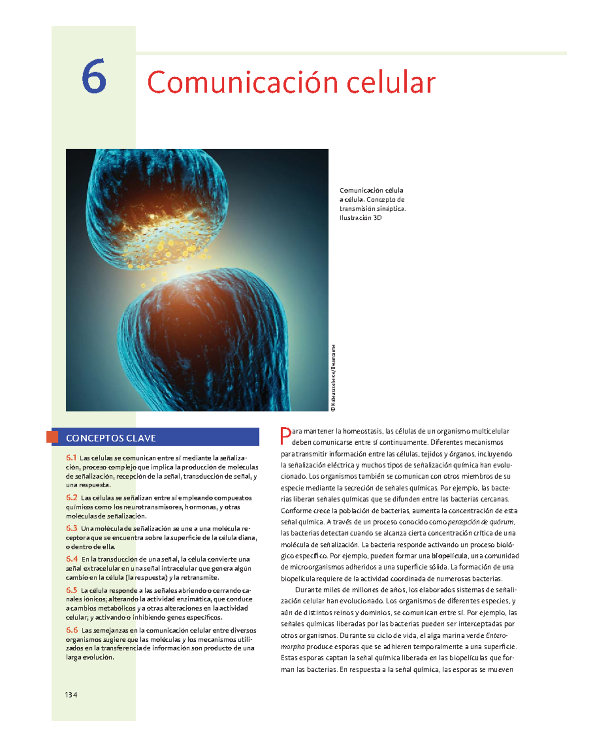 Comunicación celular - 134 6 Comunicación celular Comunicación célula a célula. Concepto de ...