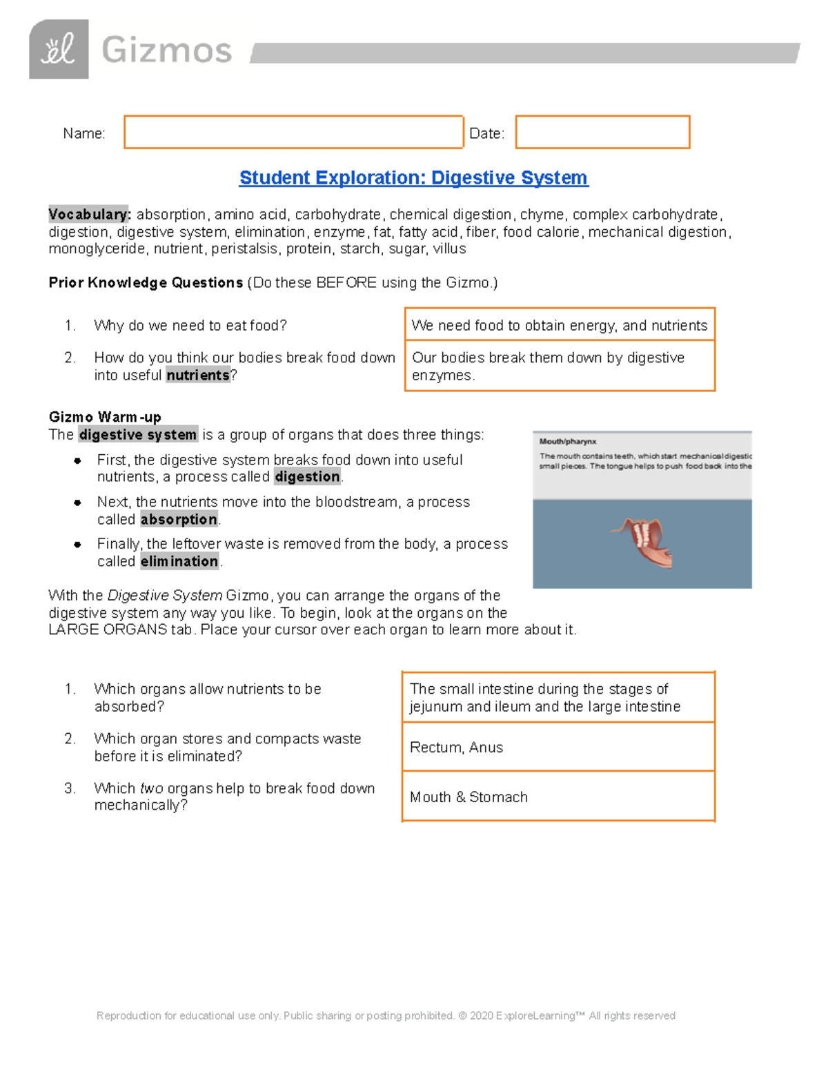 Digestive System Gizmo - Name: Date: Student Exploration: Digestive ...