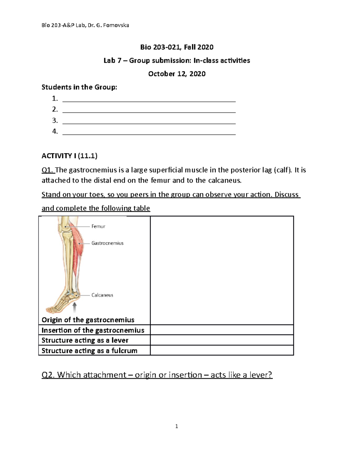 B203-Lab 7-In-class activities - Bio 203-021, Fall 2020 Lab 7 – Group ...
