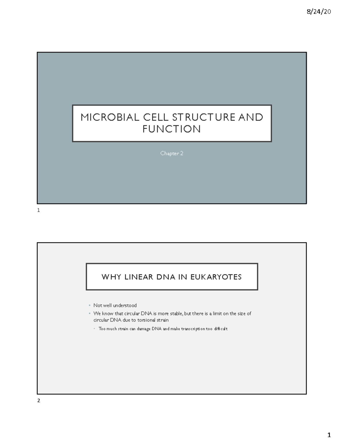 Unit Two BIO300 - Microbiology notes unit 2 - MICROBIAL CELL STRUCTURE ...