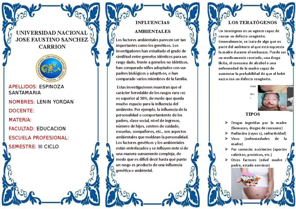 Triptico EL Aborto - LOS TERATÓGENOS Un teratógeno es un agente capaz ...