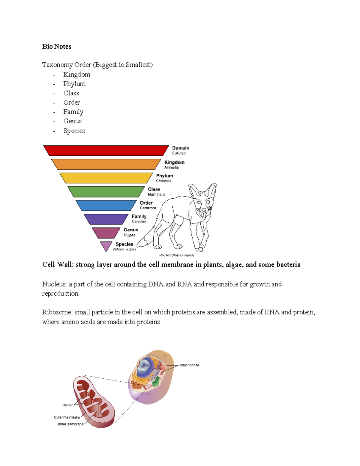 Bio Notes - RNA vs DNA, cell structure... - Bio Notes Taxonomy Order ...