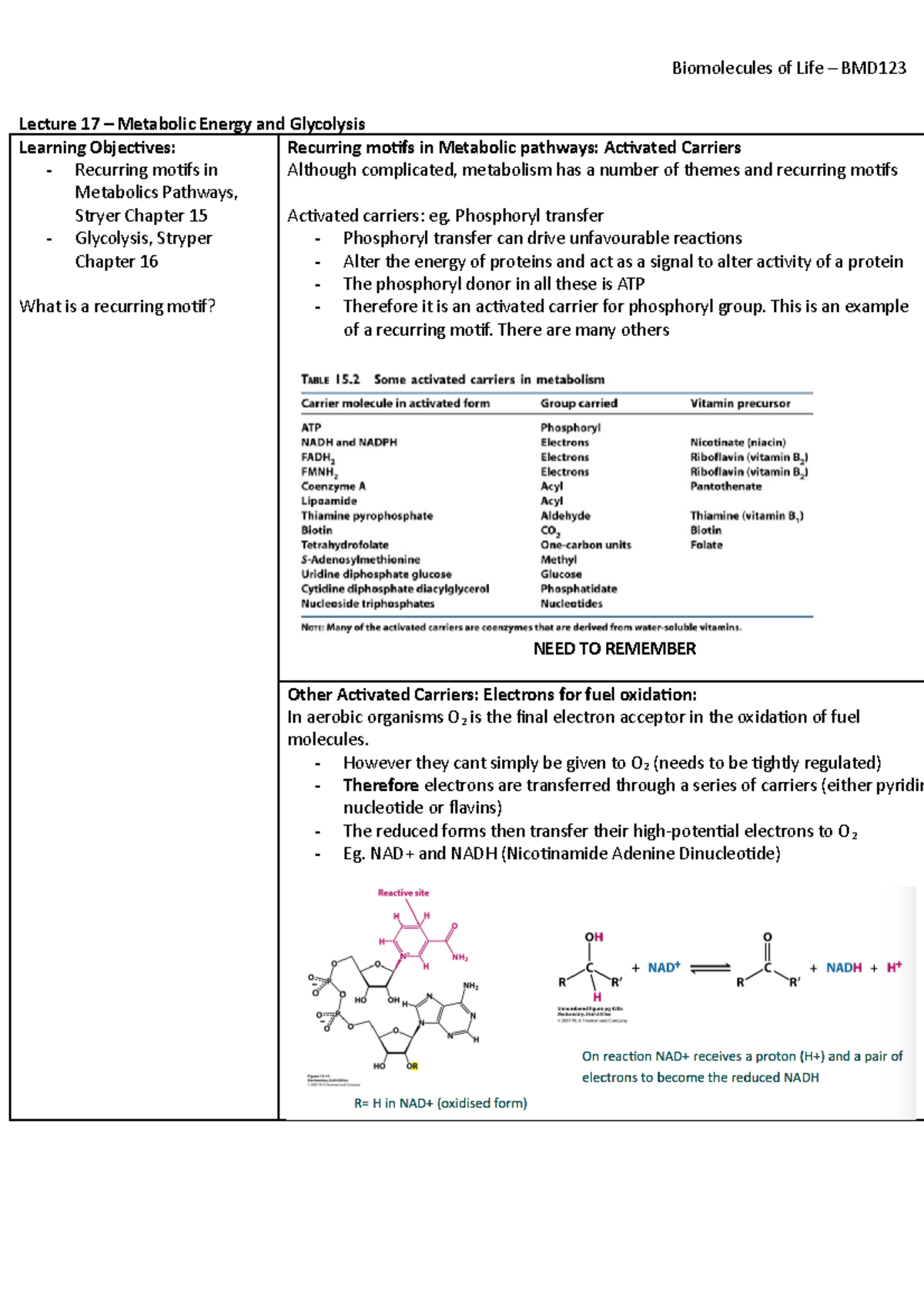 Lecture 17 – Metabolic Energy and Glycolysis - Lecture 17 – Metabolic ...