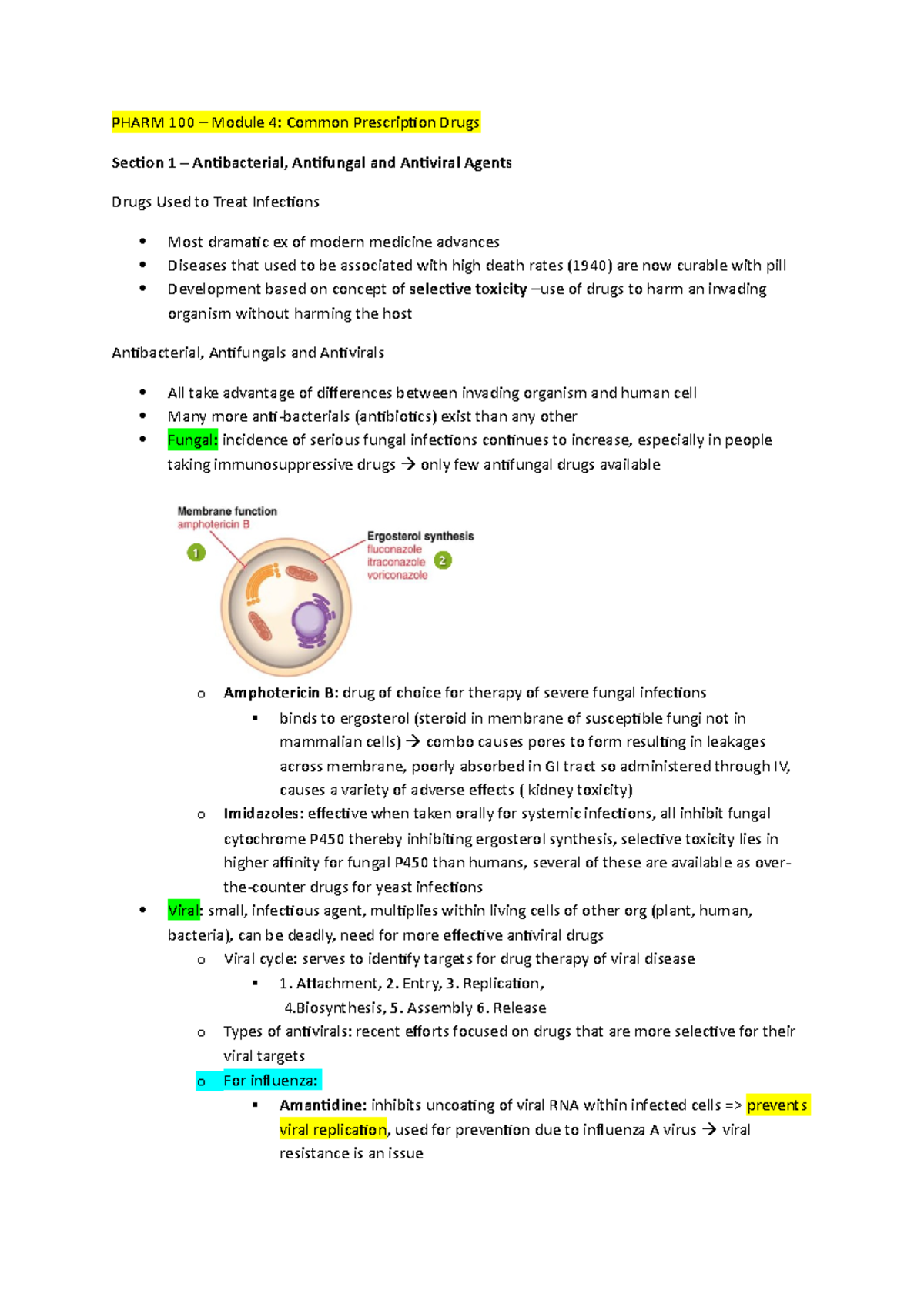Module 4 - PHARM 100 – Module 4: Common Prescription Drugs Section 1 ...