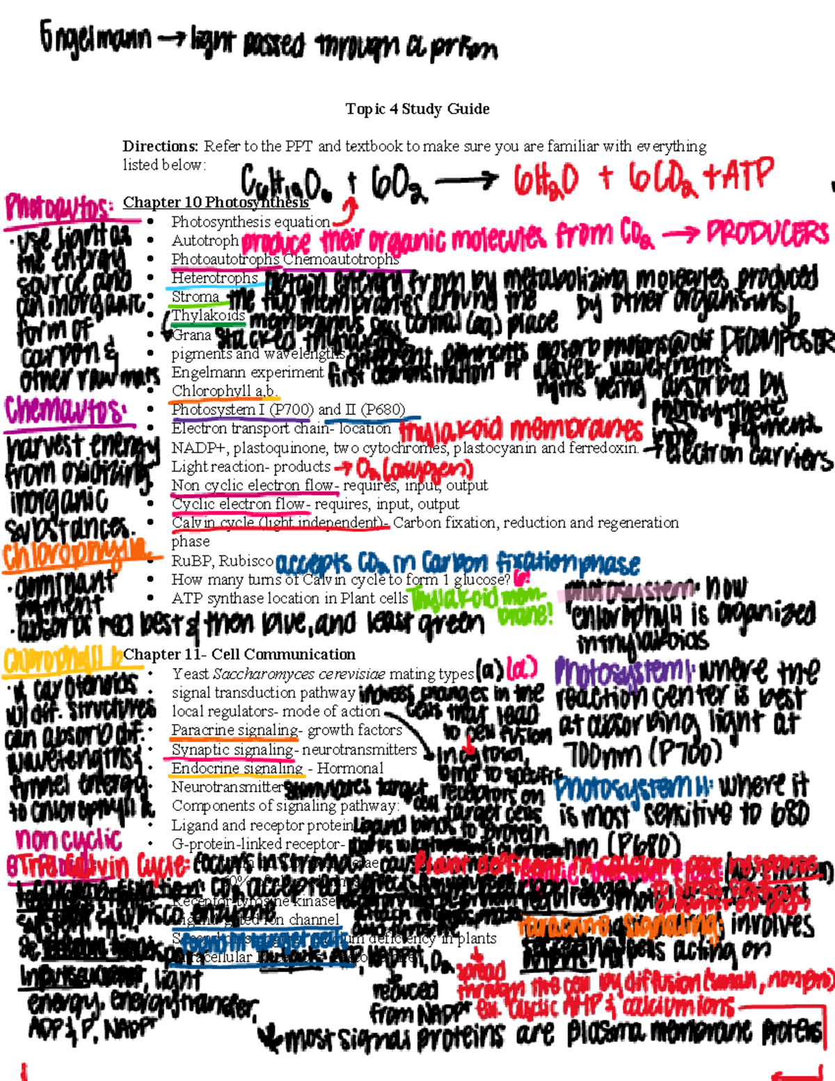 Topic 4- Study Guide - Topic 4 Study Guide Directions: Refer to the PPT ...