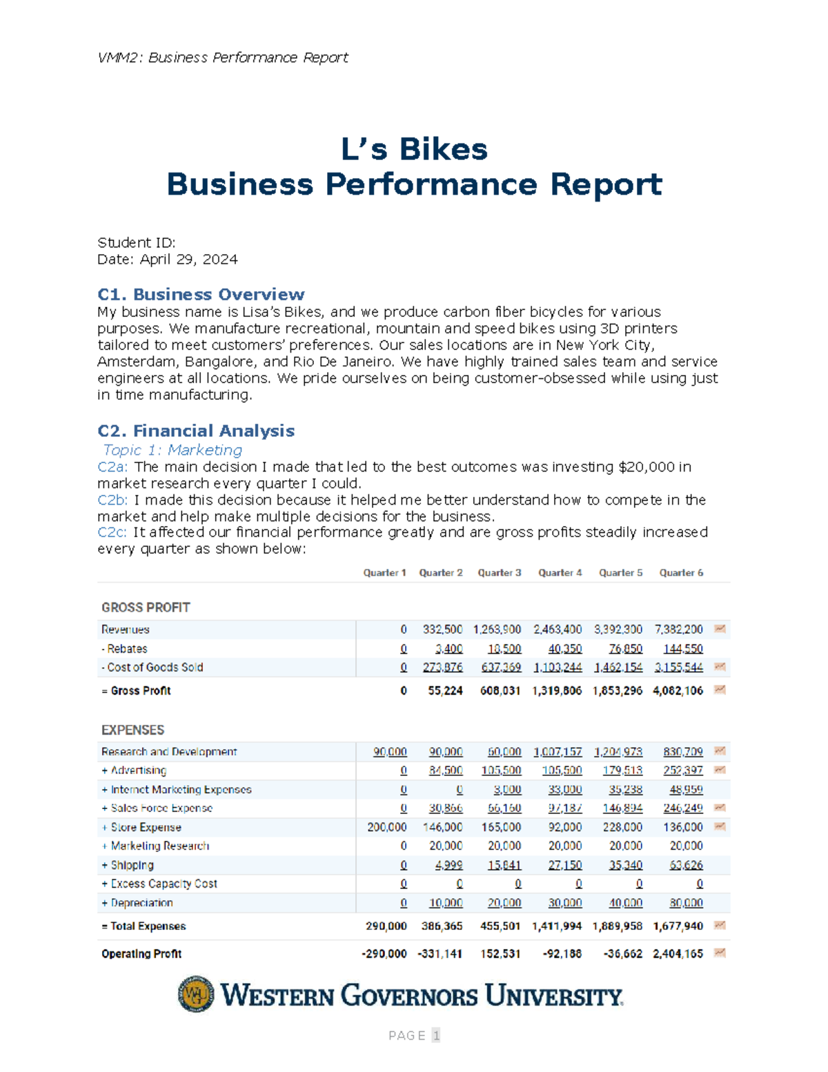 Business-performance-report - VMM2: Business Performance Report L’s ...