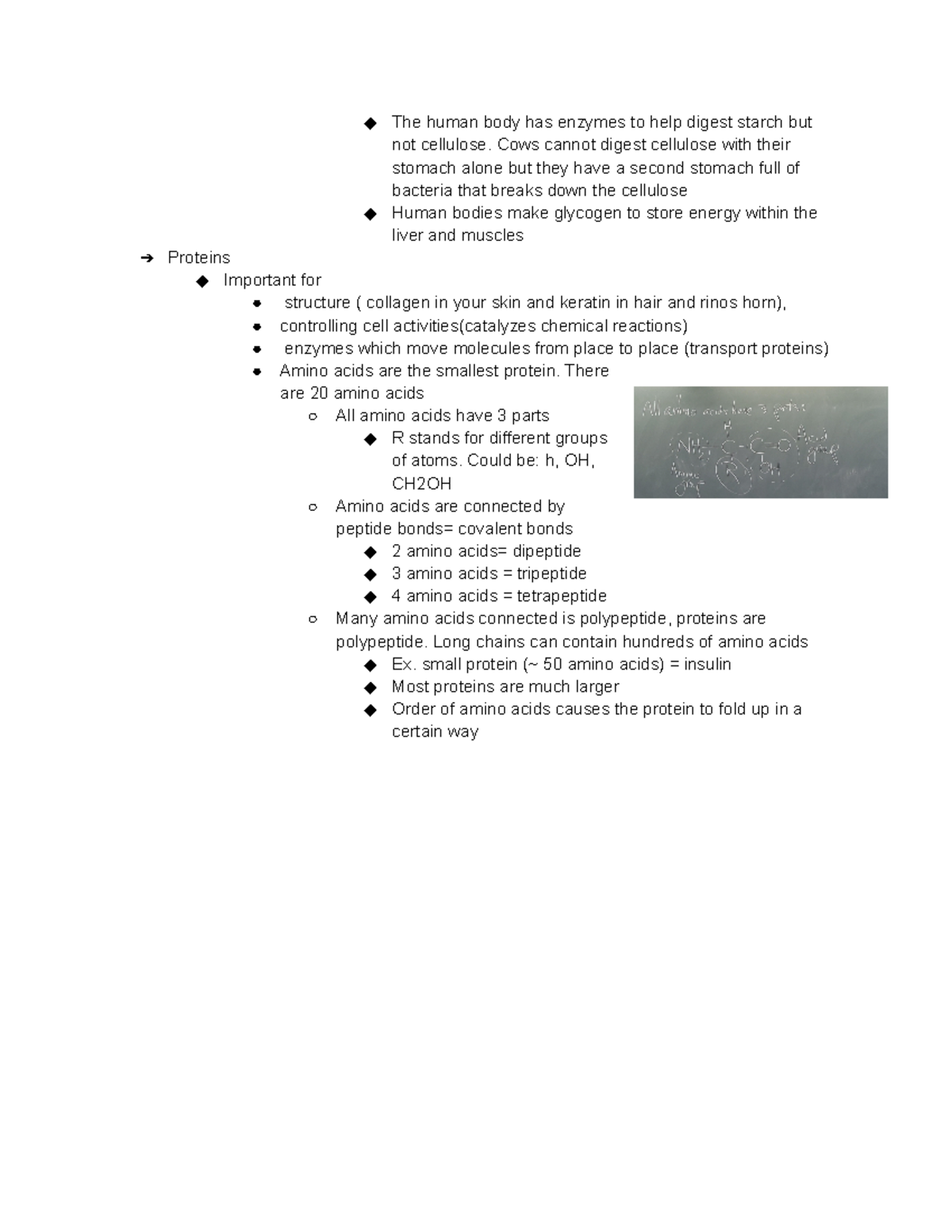 Bio notes - different proteins and their functions - The human body has ...
