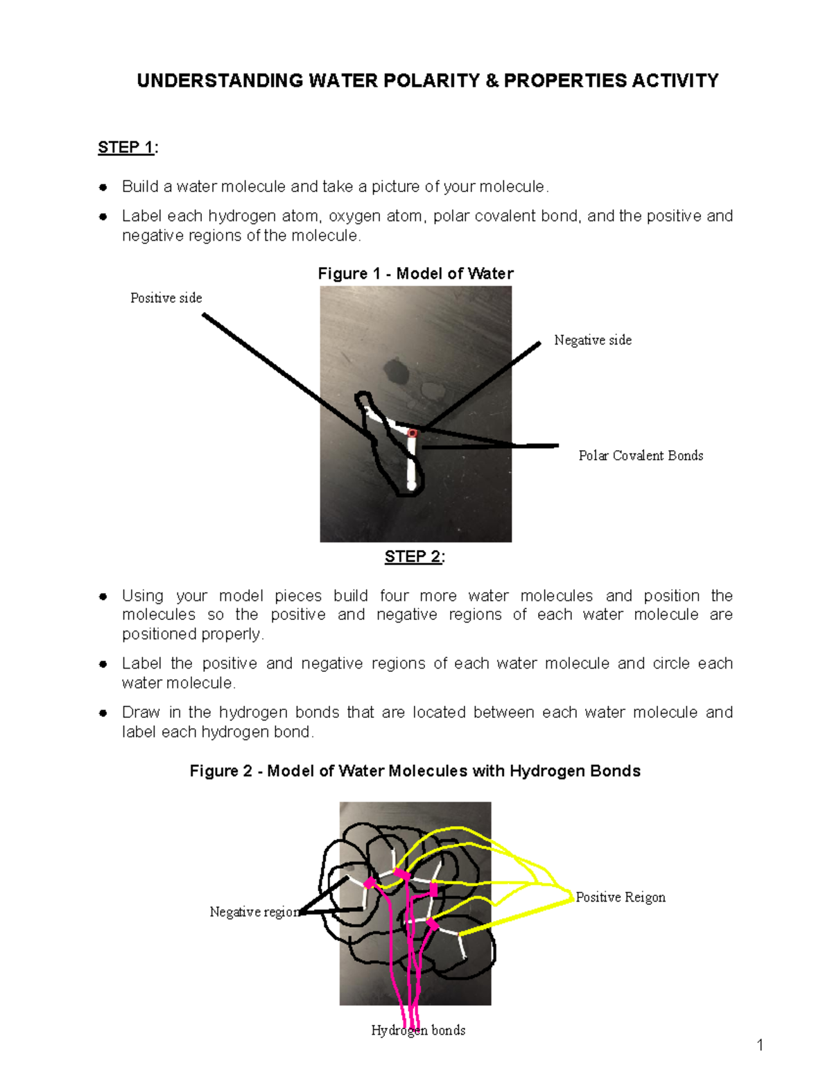 29 - Homework. - UNDERSTANDING WATER POLARITY & PROPERTIES ACTIVITY ...