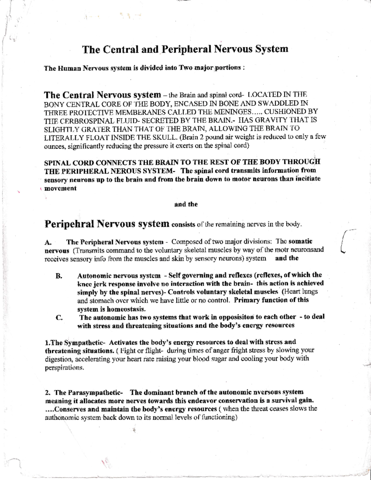 Central n Peripheral PDFwith autonomic - The Central and Peripheral ...