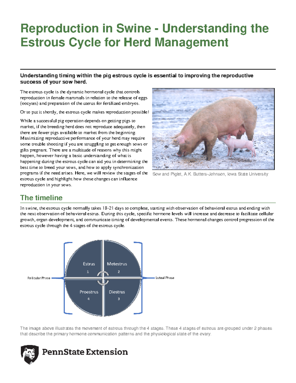 Art-5535 - yes - Reproduction in Swine - Understanding the Estrous ...