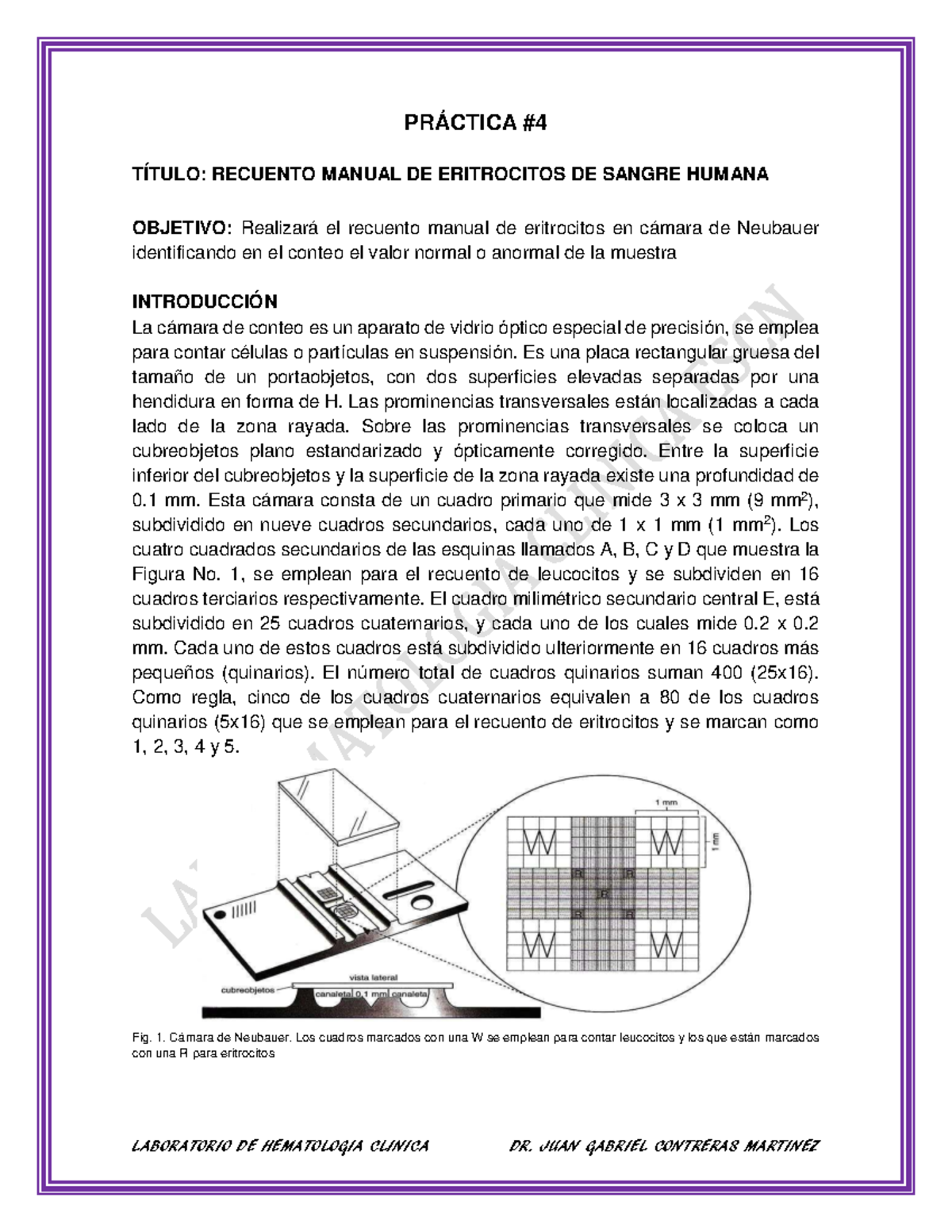 Práctica #4 - practica de cuenta manual de hematies - PRÁCTICA TÍTULO ...