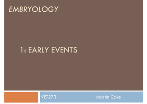 Embryology Notes - Embryo - 2013 Veterinary Developmental Anatomy ...