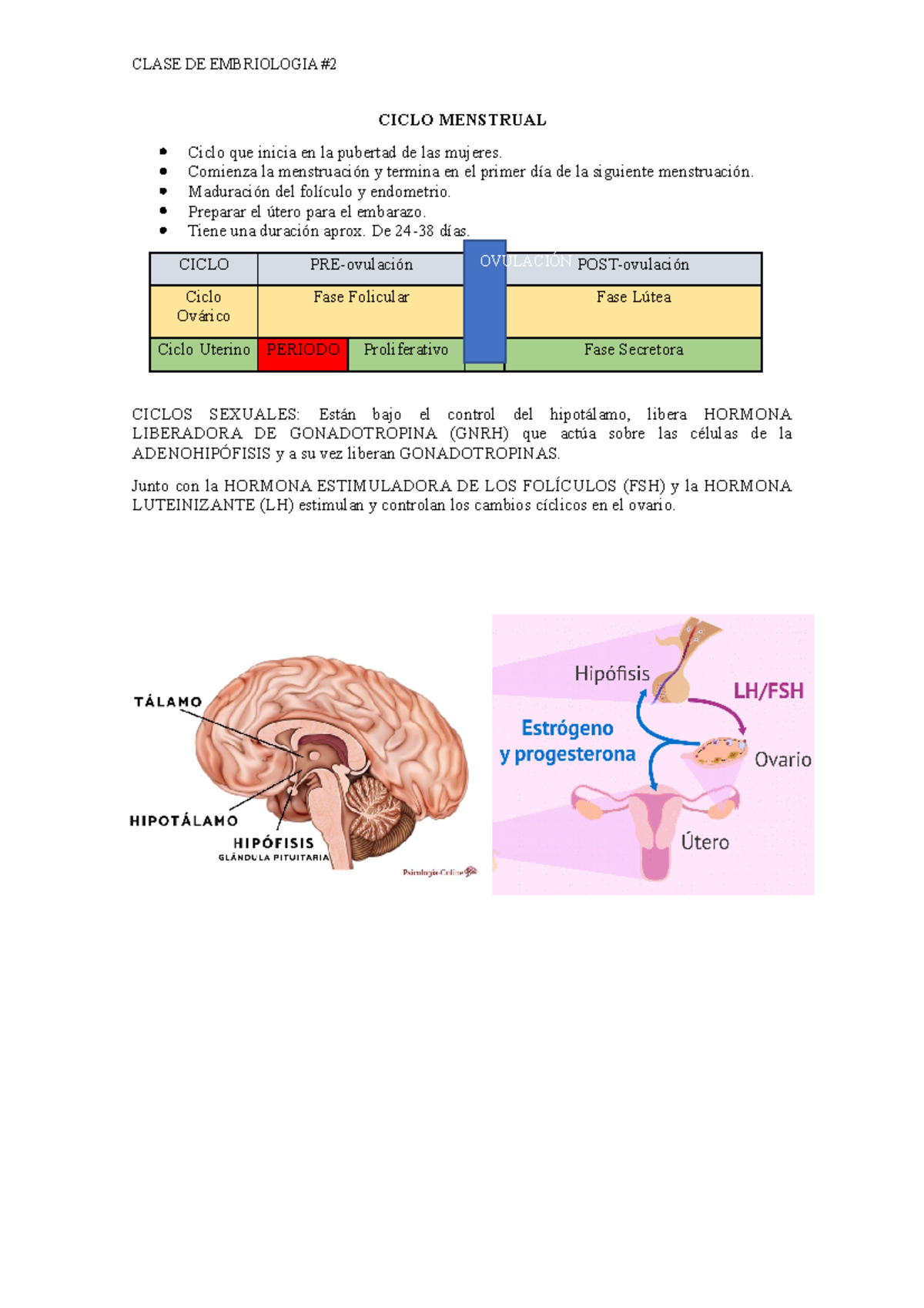 2. Ciclo Menstrual - CICLO MENSTRUAL Ciclo que inicia en la pubertad de ...