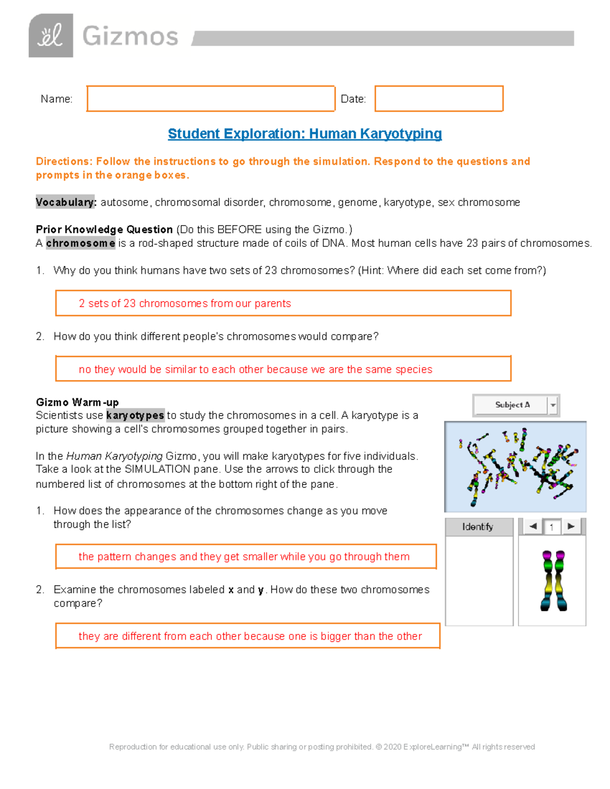 Miguel Velazquez - Gizmo Human Karyotype - 7100524 - Name: Date ...