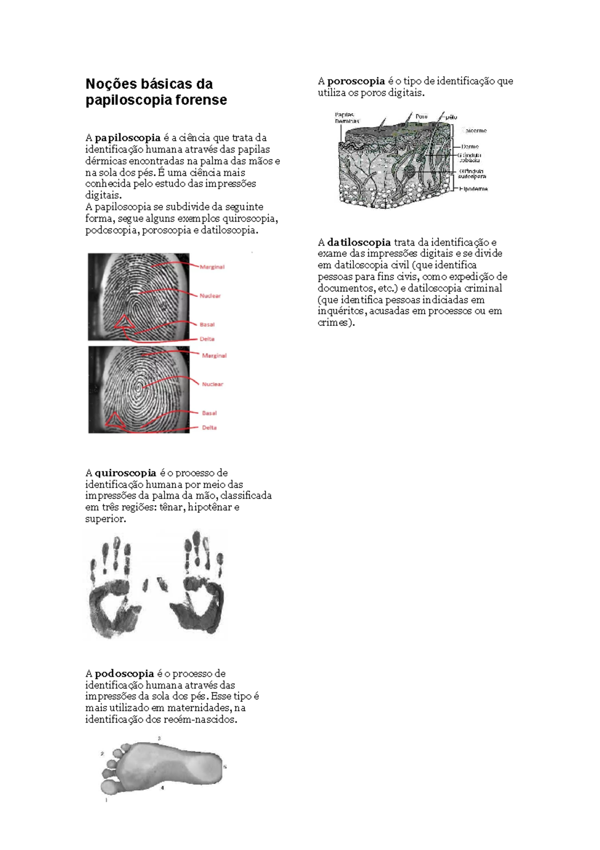 Resumo papiloscopia forense - Noções básicas da papiloscopia forense A ...