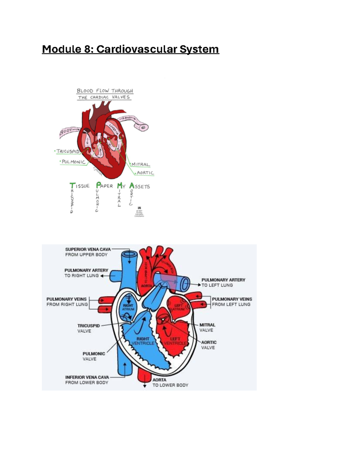 NUR 216 EXAM 3 HEALTH ASSESSMENT MOD 8, 9, 10, 11 - Module 8 ...