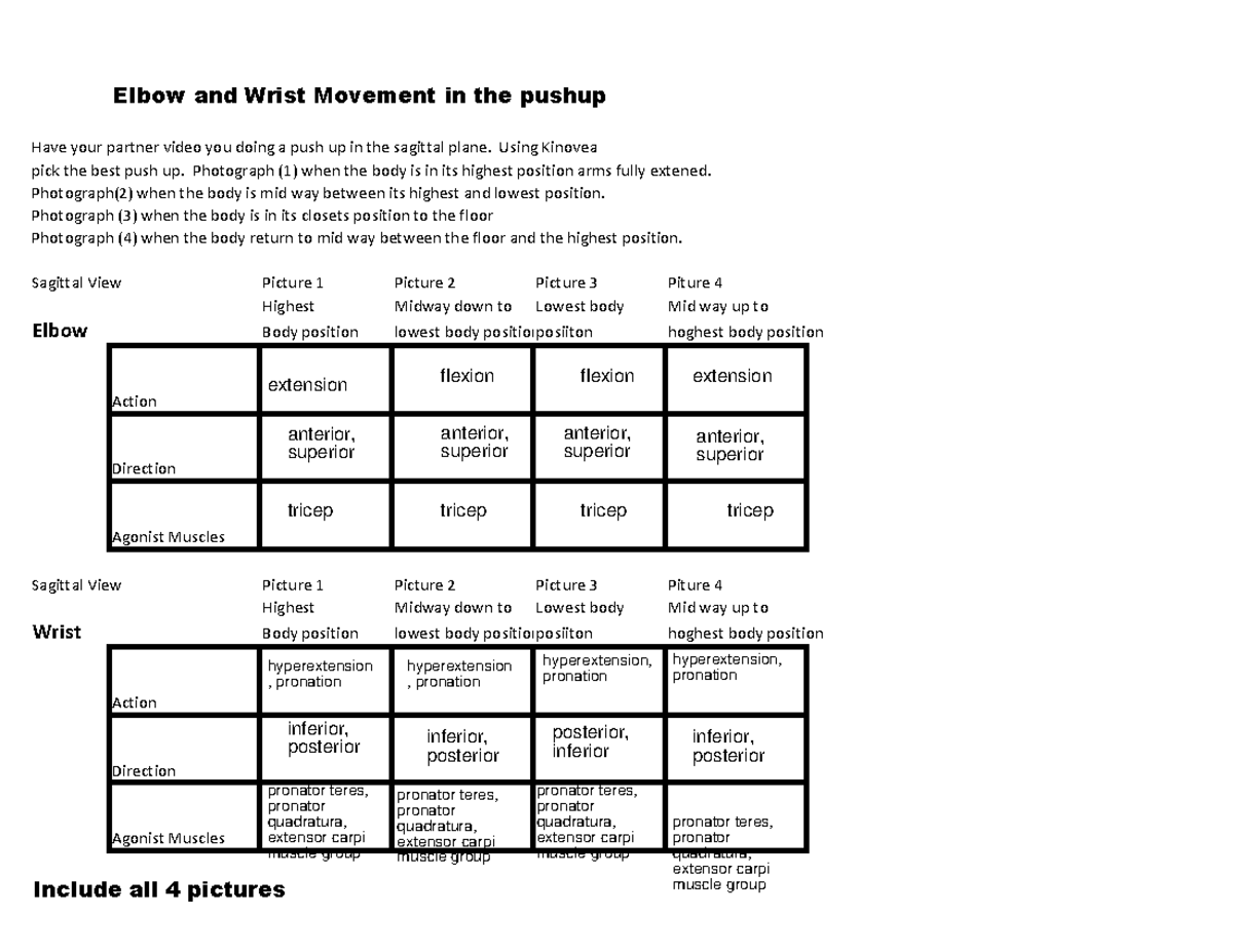 Elbow & Wrist Movement in Push up - Elbow and Wrist Movement in the ...