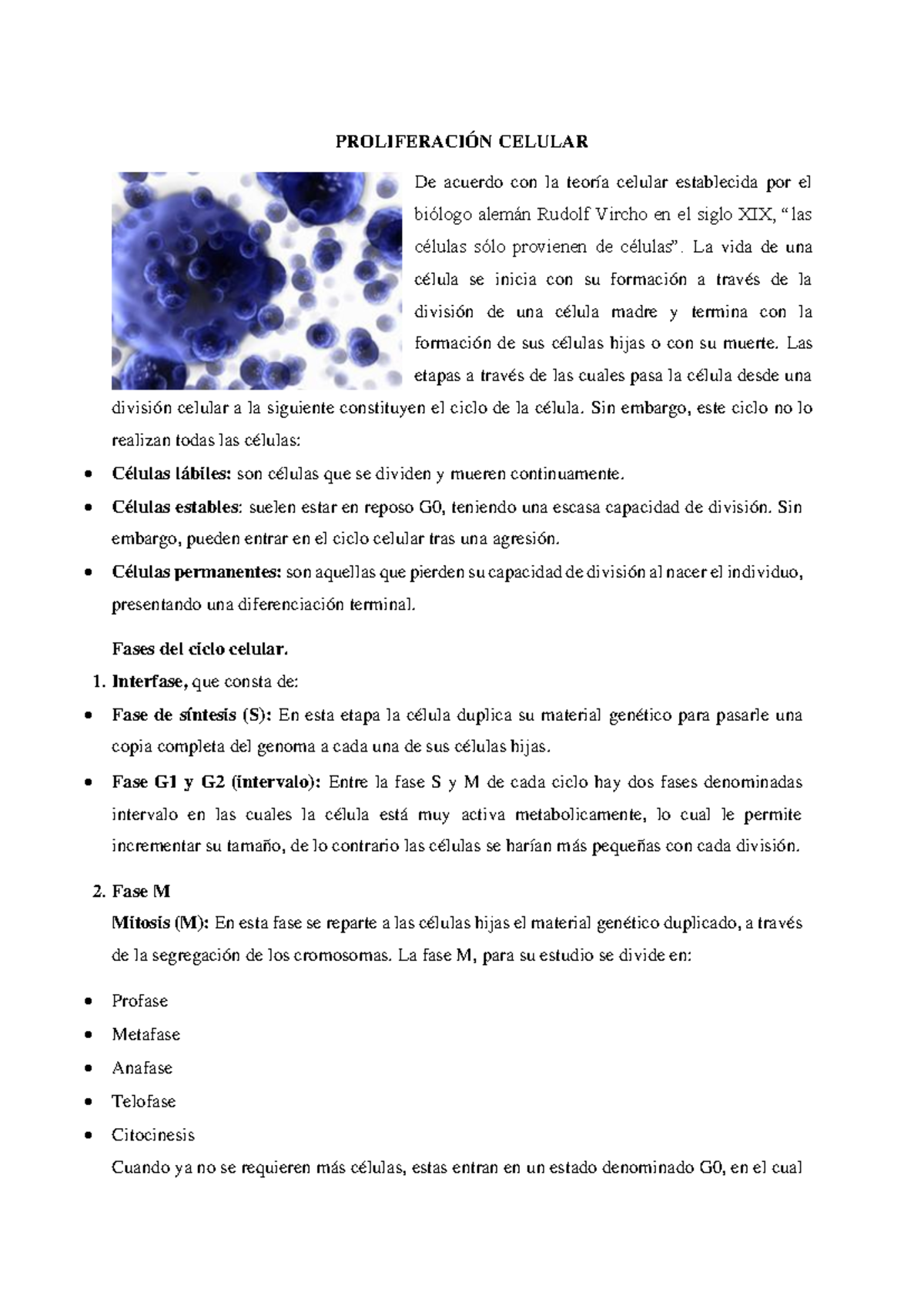 Ploriferacion celular - PROLIFERACIÓN CELULAR De acuerdo con la teoría ...