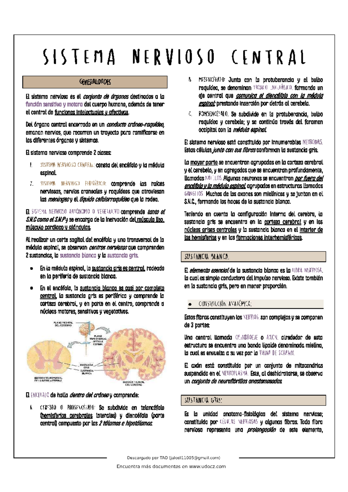 Apuntes de sistema nervioso central - SISTEMA NERVIOSO CENTRAL ...