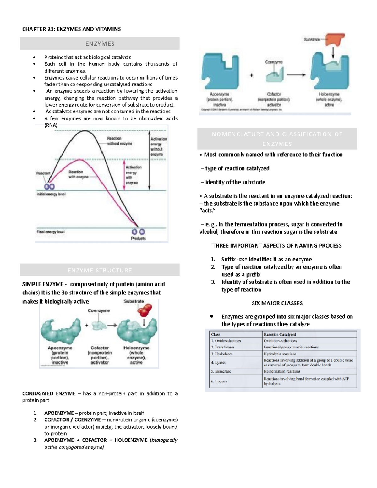 Enzymes - biochem notes - ENZYMES Proteins that act as biological ...