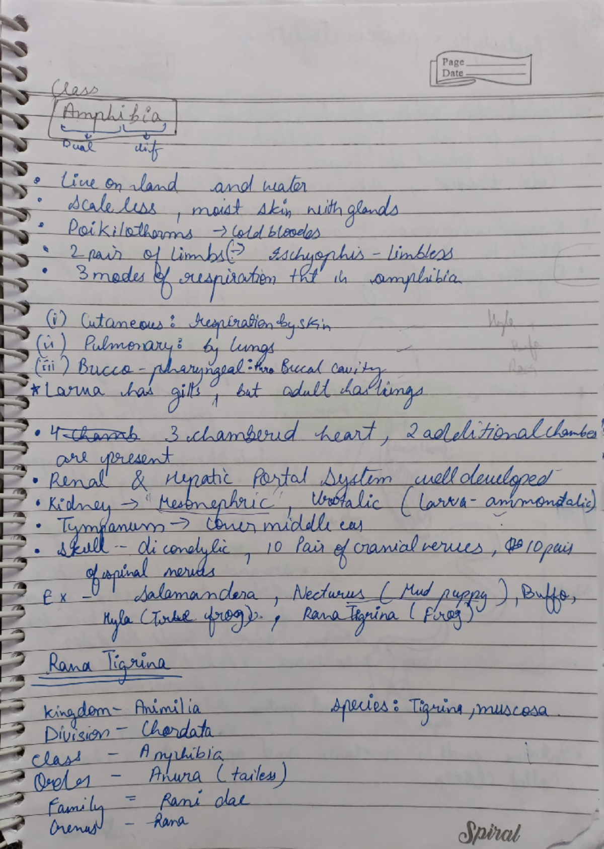 Frog - Notes on frog class 11 - R~ fru'/ e .l -= f5Jun ; c/4L I I I - p ...