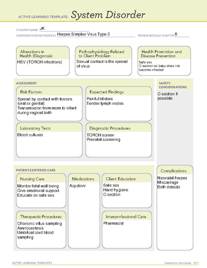 Car Seat Safety - ATI template - ACTIVE LEARNING TEMPLATES THERAPEUTIC ...