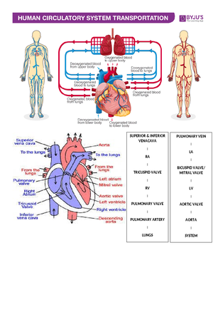 Science-9 Q1 Mod4 Biodiversity-and-Evolution Ver Final - Science ...