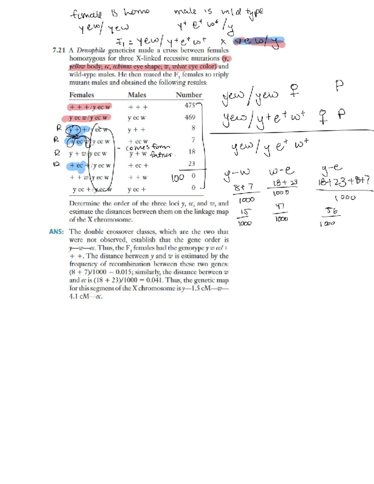 Practice Problemsfor Gene Mapping - Lunortg \jwoweo mae +S w l a type t ...