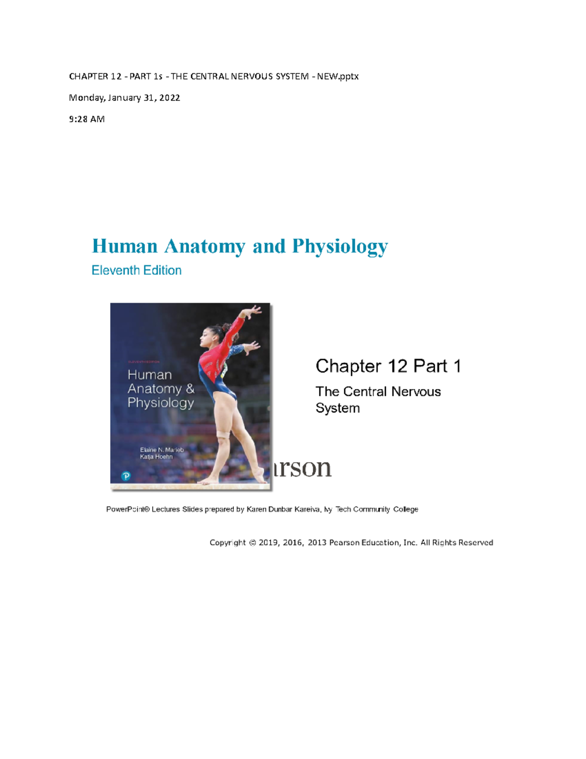 Chapter 12-ap2 - notes - BIOL 3339 - CHAPTER 12 - PART 1s - THE CENTRAL ...