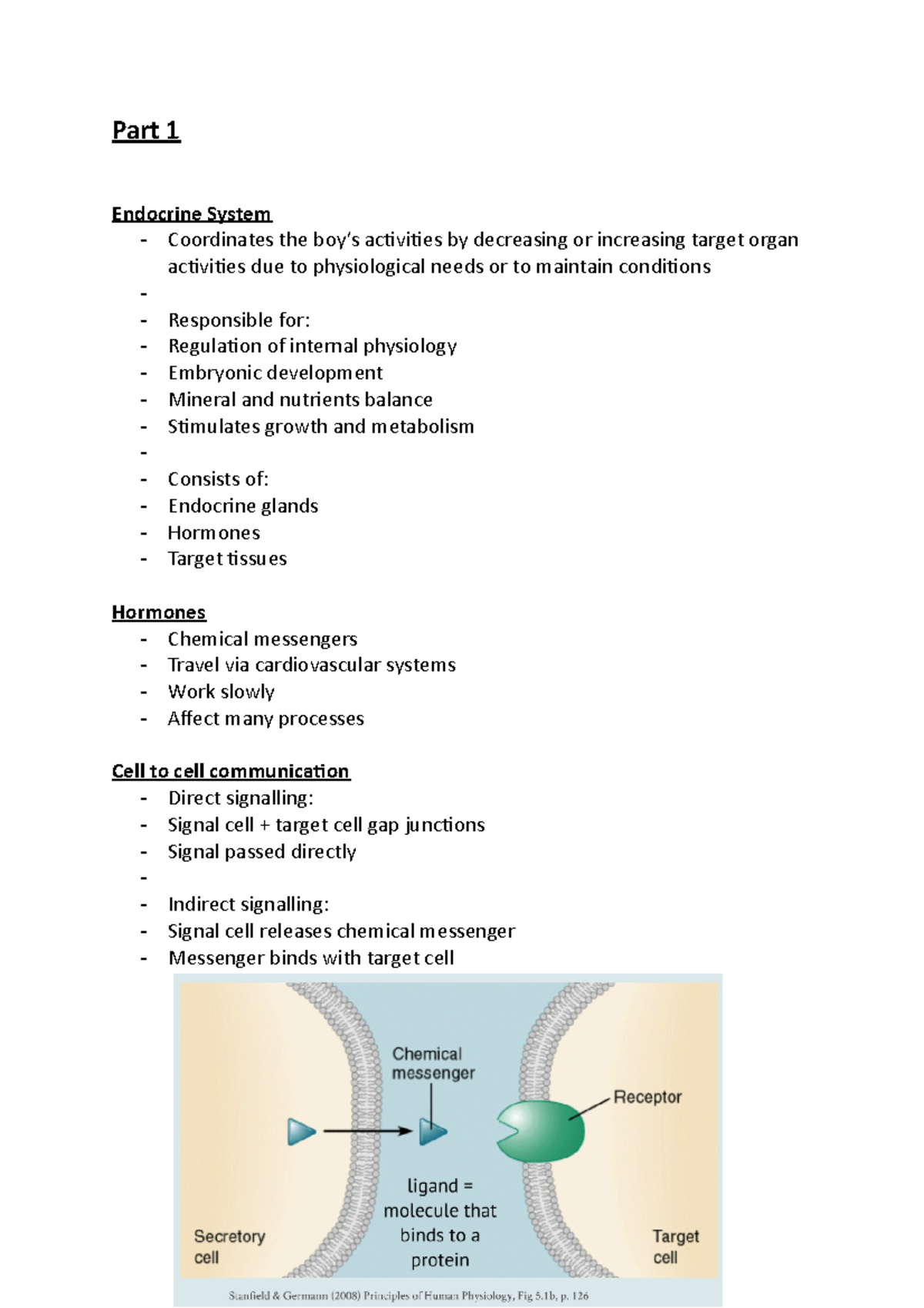 Endocrine System - Lecture notes - Part 1 Endocrine System ...