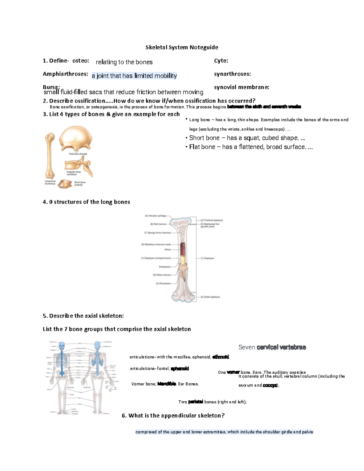 Kami Export - End of unit study guides 1 - Skeletal System Noteguide 1 ...