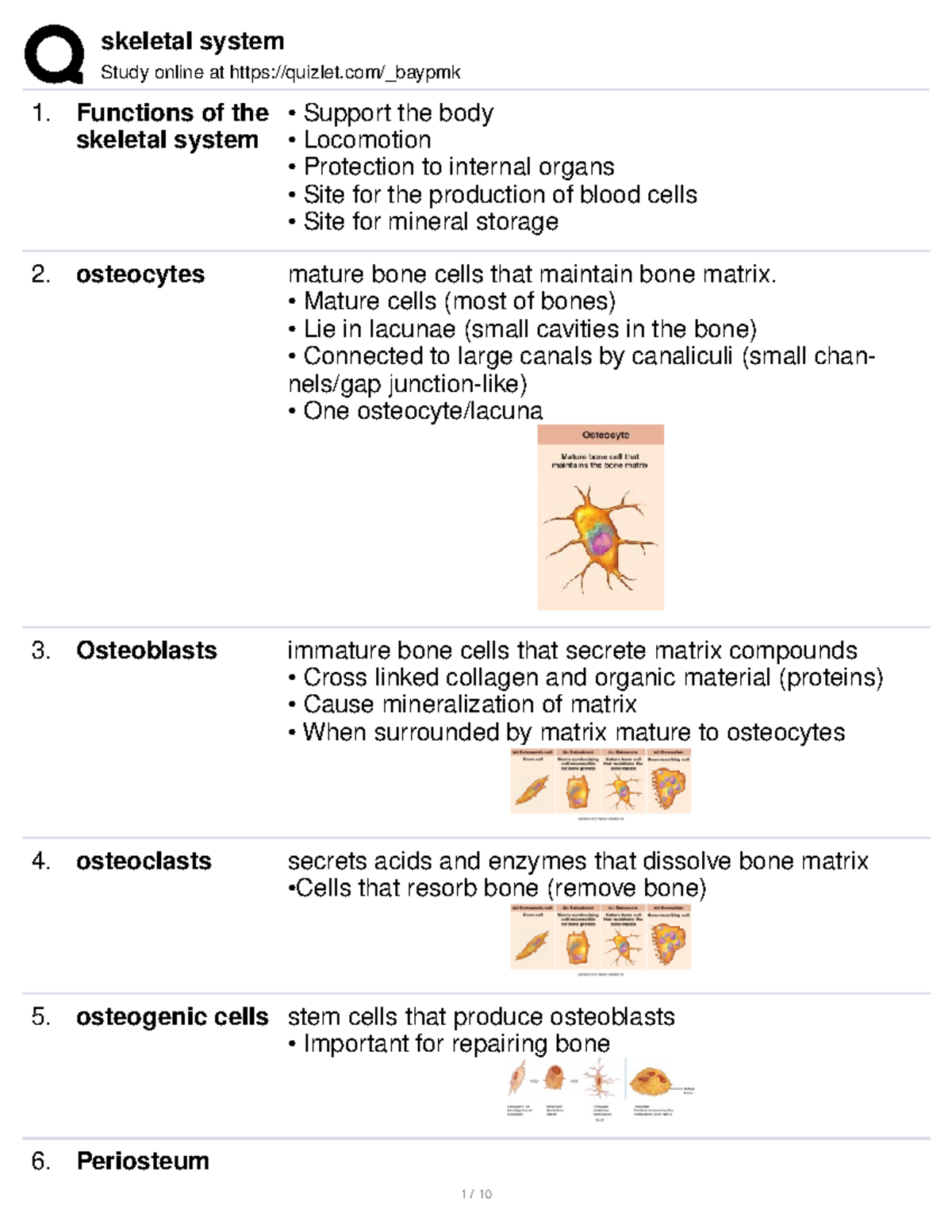 Skeletal system - Study online at quizlet/_baypmk Functions of the skeletal system Support the ...