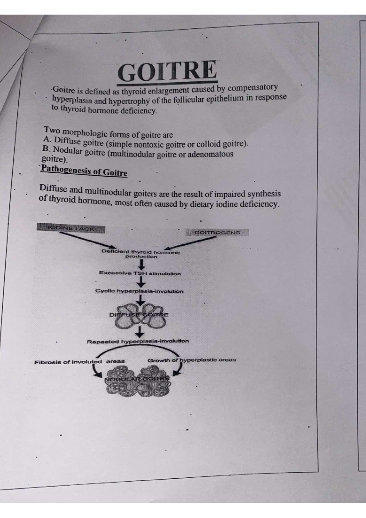 Goitre - Simple notes to score very high score.. - Pharmacy - Studocu