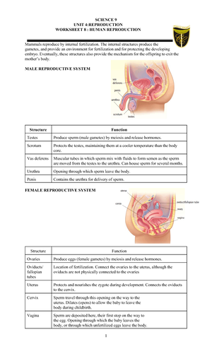Unit1-Additional Guidance-Section B-Biology final 4 applsci - BTEC ...