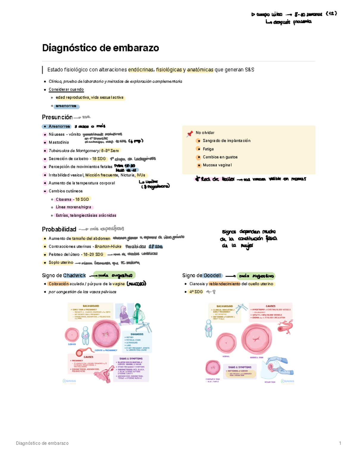 4 Diagnóstico de embarazo - Diagnóstico de embarazo 1 Diagnóstico de embarazo Estado fisiológico ...