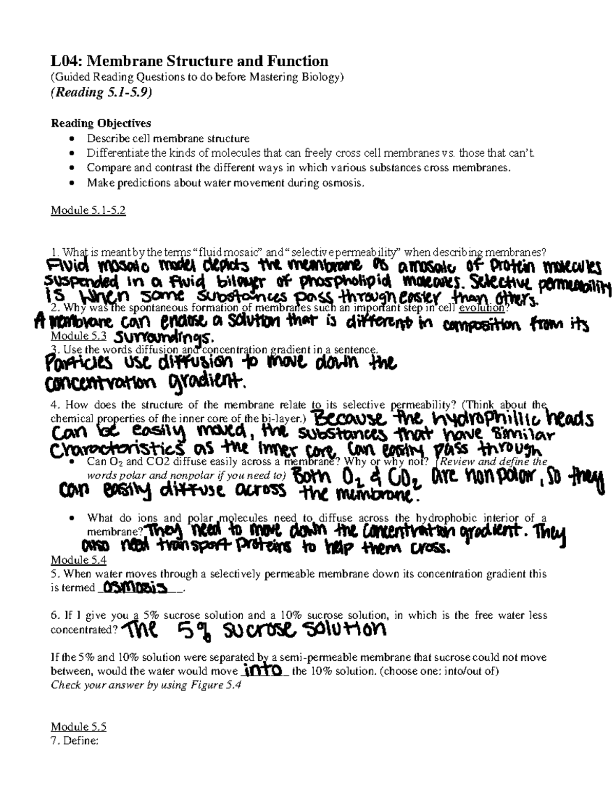 Lesson++4 GRQs Membrane+Structure+and+Function - L04: Membrane ...