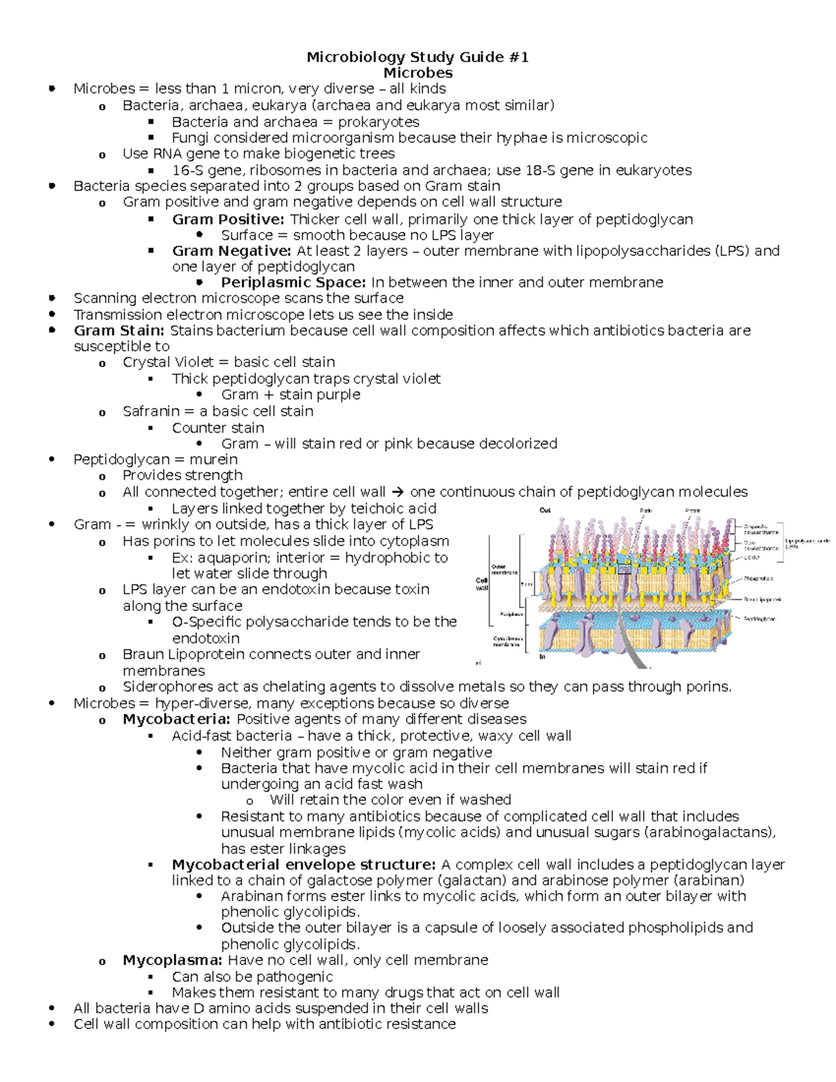 VCU BIOL 303: Microbiology Quiz 1 Notes - Microbiology Study Guide ...