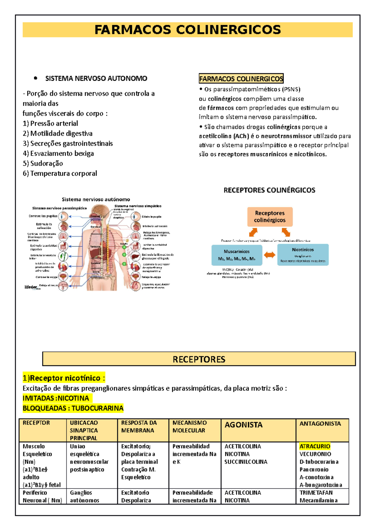 Farmacos Colinergicos E Anticolinergicos - medicina - UC - Studocu