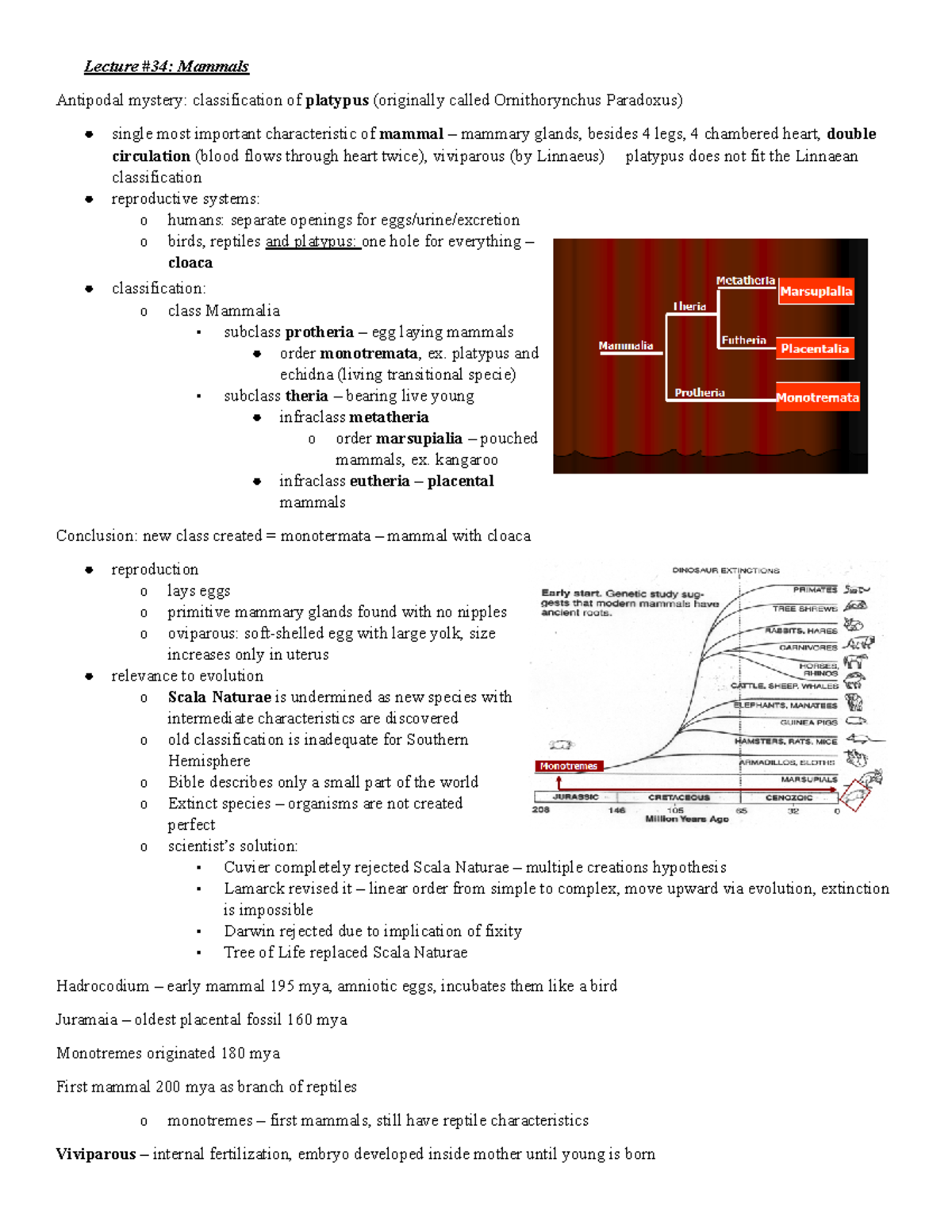 BIO 200 Ch 34 Mammals - Professor: Heather Williams - Lecture #34 ...