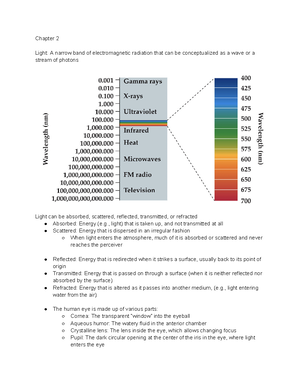 Sensation And Perception Chapter 3 Chapter 3 What Is The Path Of