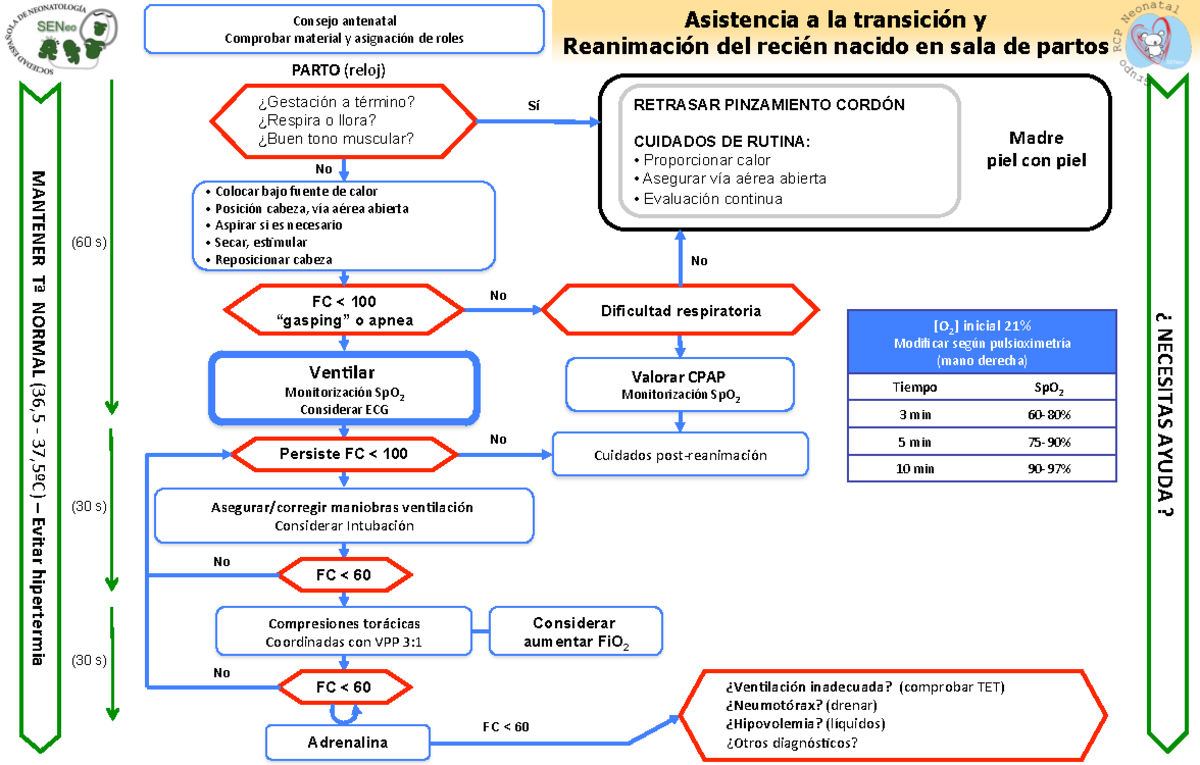 429706163 Algoritmos RCP Neonatal 2016 pdf - **[O 2 ] inicial 21% ...