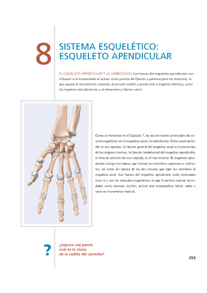 Unidad 5 - Resumen Estructura Y Funcion Del Cuerpo Humano - ESTRUCTURA ...