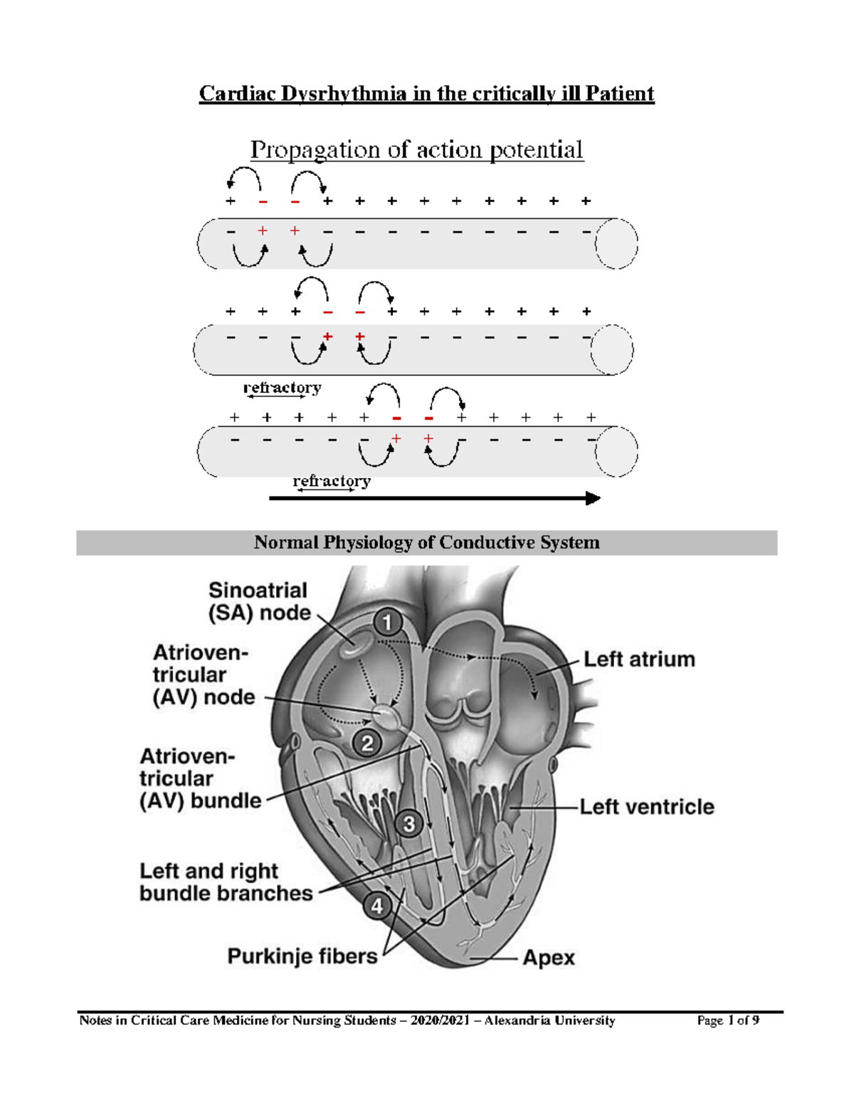 Cardiac Dysrhytmia in ICU Summary 25122020 - Cardiac Dysrhythmia in the ...