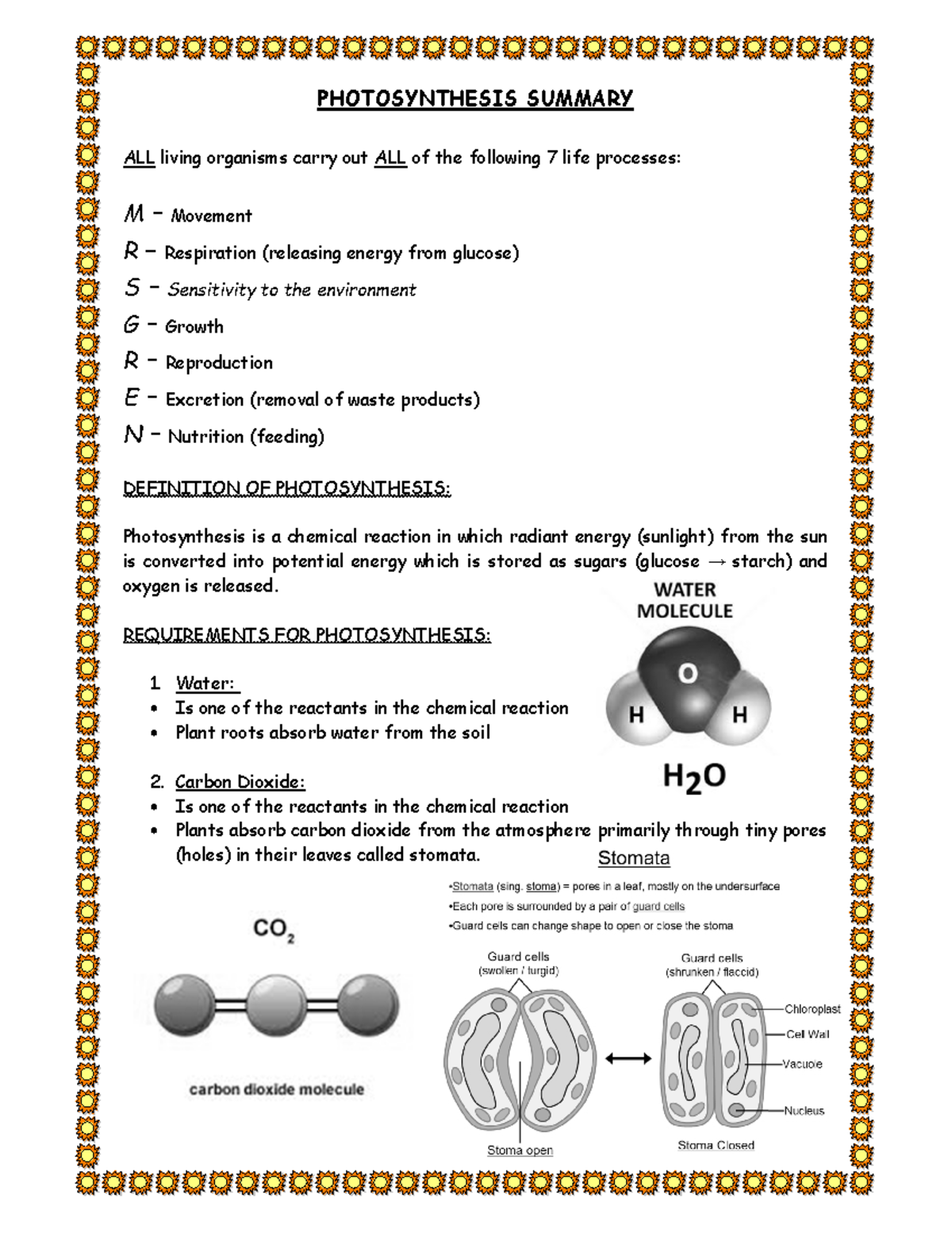 Photosynthesis-Summary - PHOTOSYNTHESIS SUMMARY ALL living organisms ...