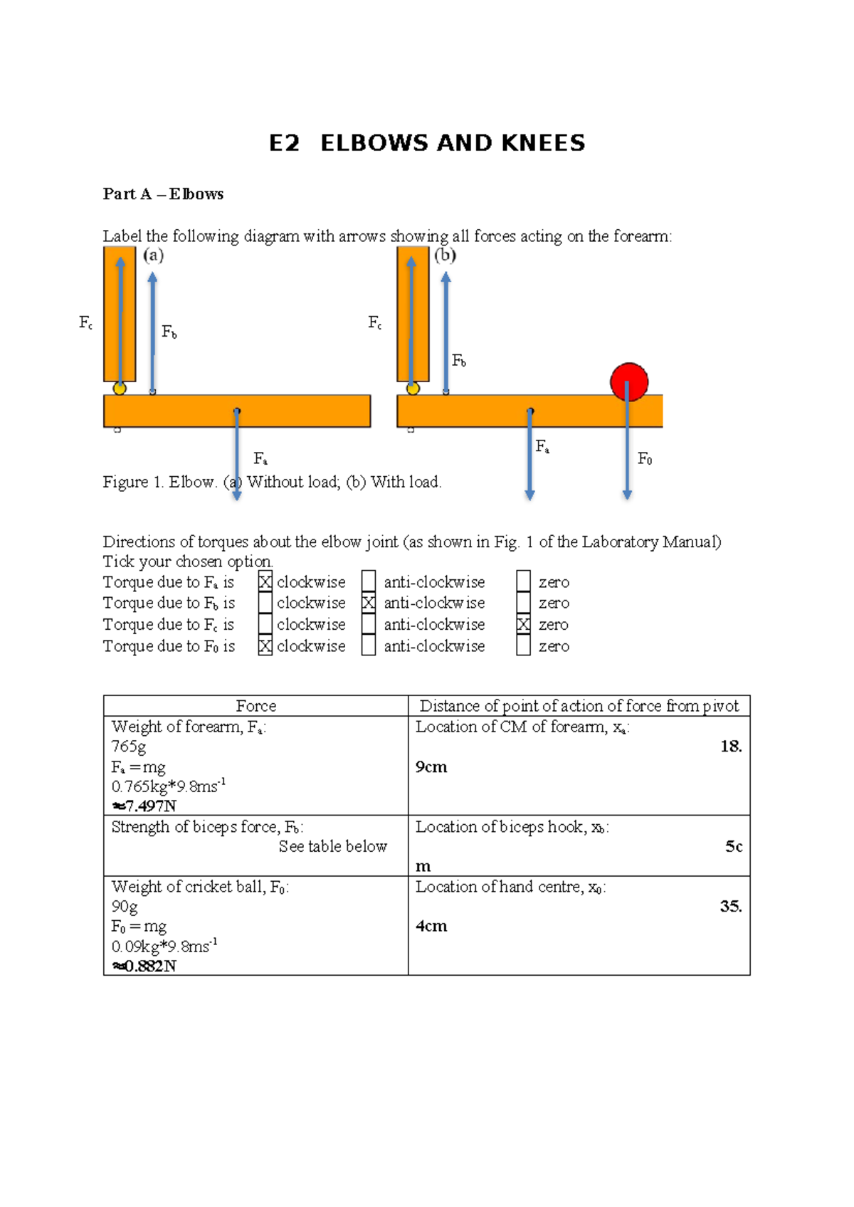 E2 elbowsandknees - 3/3 - E2 ELBOWS AND KNEES Part A – Elbows Label the ...
