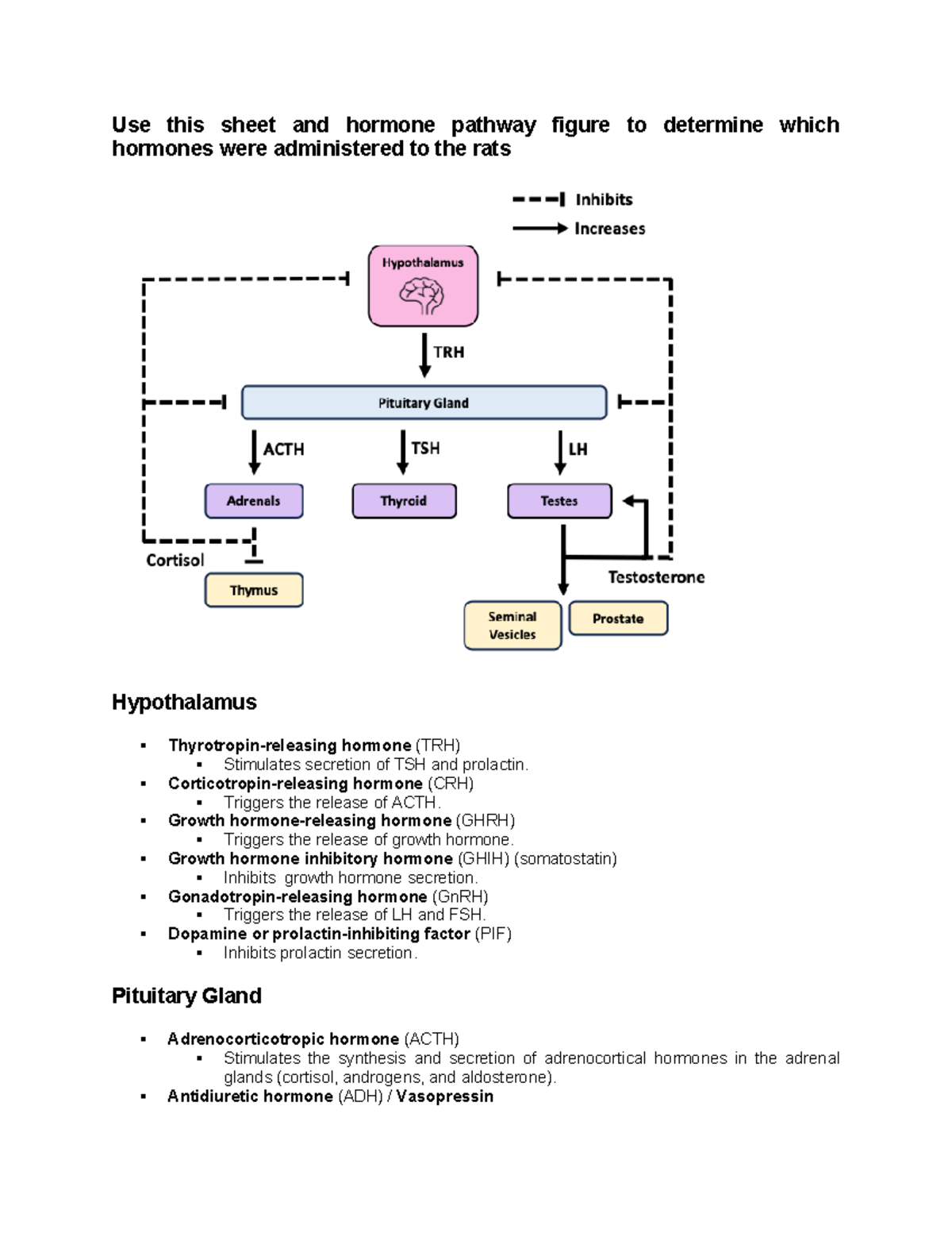 Endocrinology- Hormone info sheet-2024 - Use this sheet and hormone ...